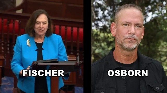 Despite gun divide Dems leaning toward Osborn for Senate - METRO - NEWS ...